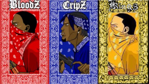 Street Gangs 101 – EMP Training